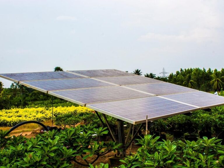 Potencia tus terrenos agrícolas con la luz solar - Solaric